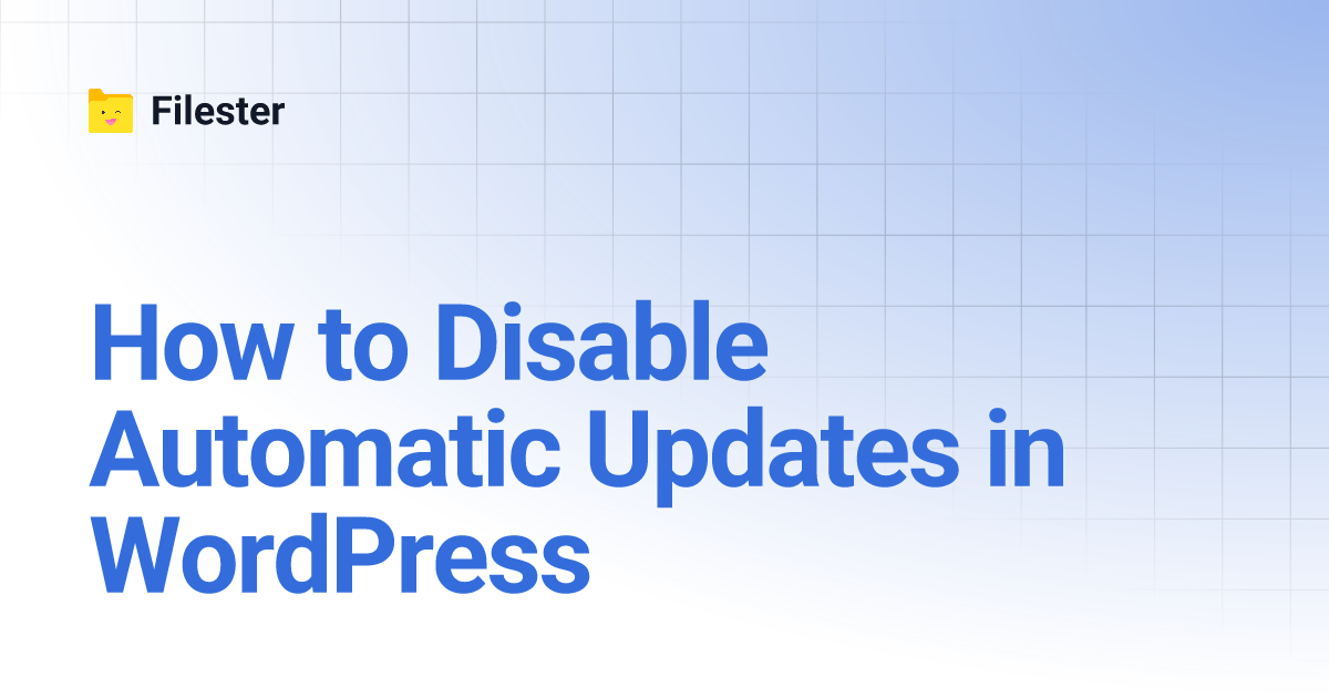 How To Disable Automatic Updates In Wordpress Filester